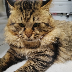 展会达人 