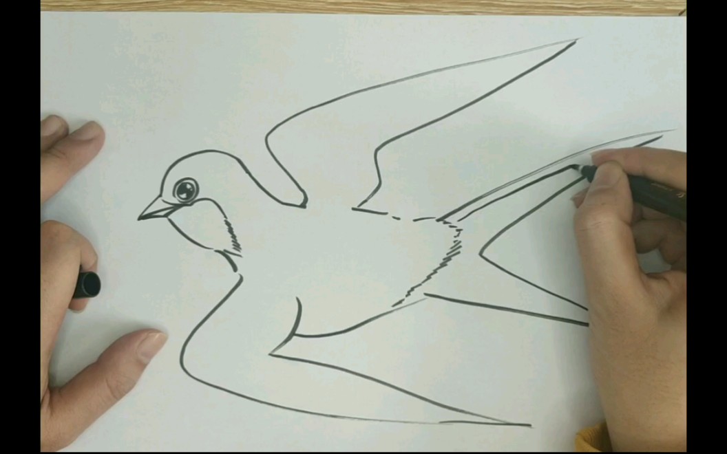 简笔画鸟类5教你画小燕子。简单美,轻松学。