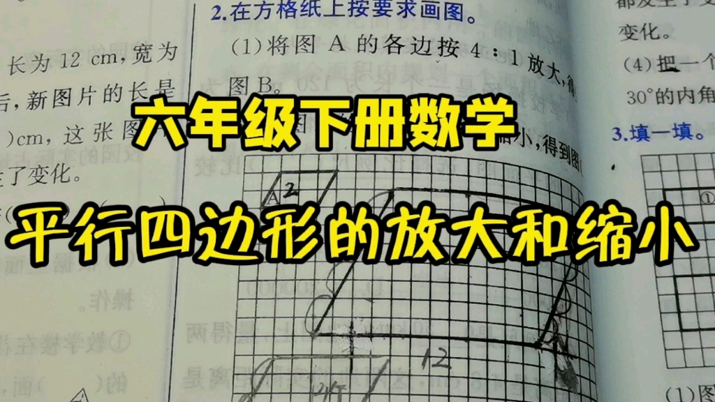 六下数学(4.比例)如何把平行四边形的底、高、斜边放大或缩小
