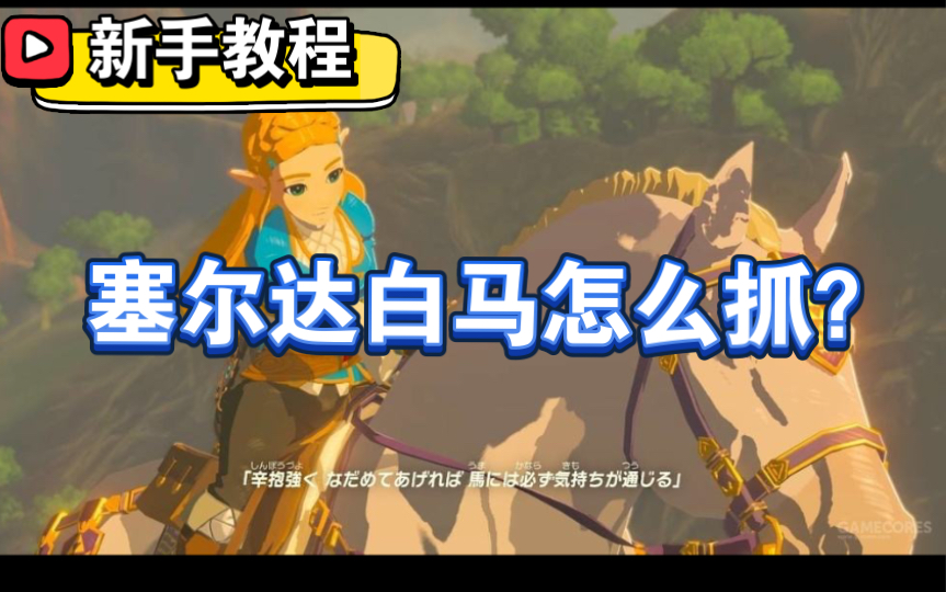 【塞尔达传说】塞尔达白马(王族白马)获取地点和获取方式之新手教程