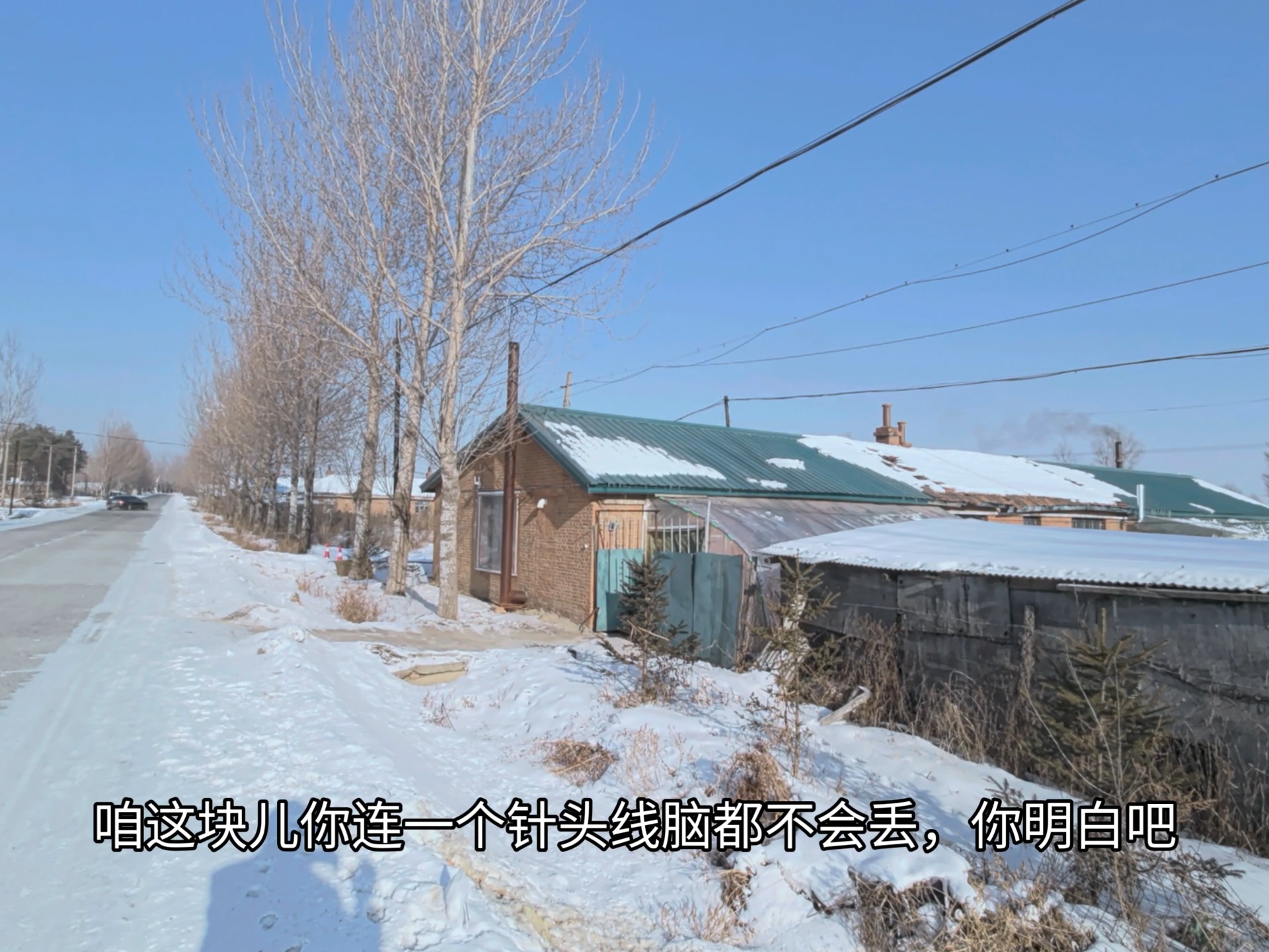 一个人在黑龙江林区隐居,万一东北虎进家里怎么办?不害怕吗