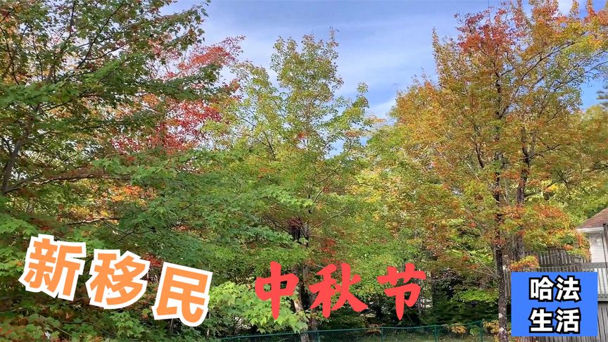狩猎安全培训考牌、家庭网络计划、简历更新,新移民在加拿大哈法