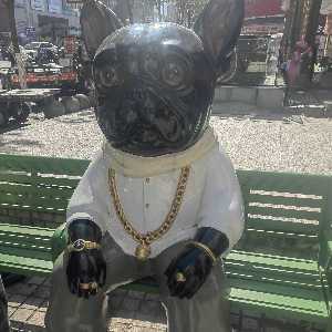 也许是她错了 