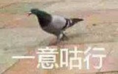 【c语言】第一次自己写简单程序
