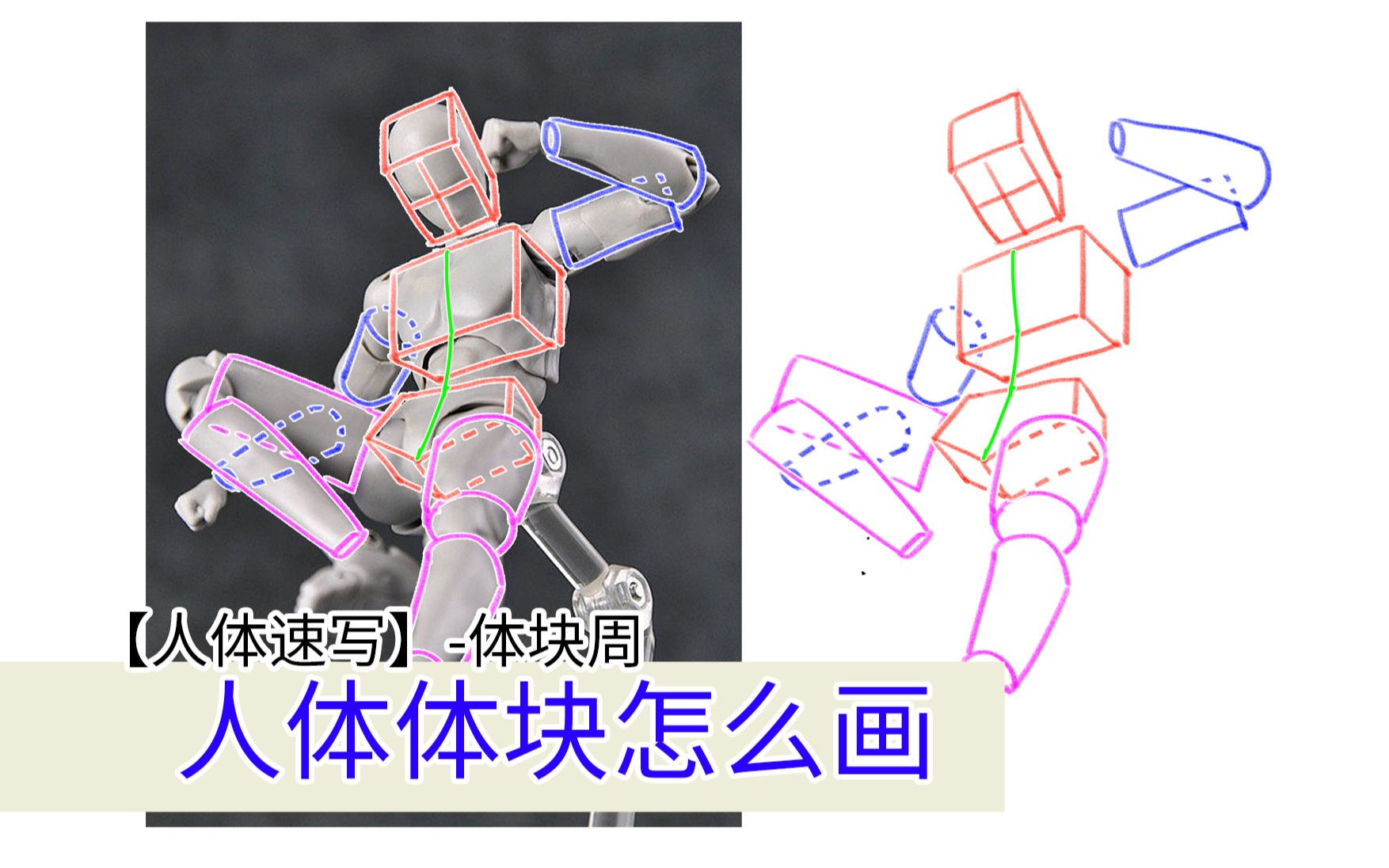 【ASC】人体带练 体块周复盘,为啥要从体块画起,怎么画体块