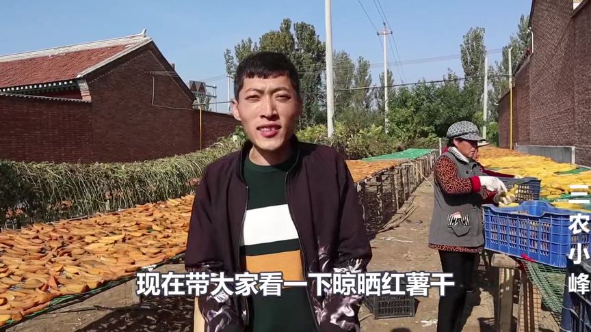 农村小伙教你用土办法快速制作红薯干,简单省事,口感劲道又美味