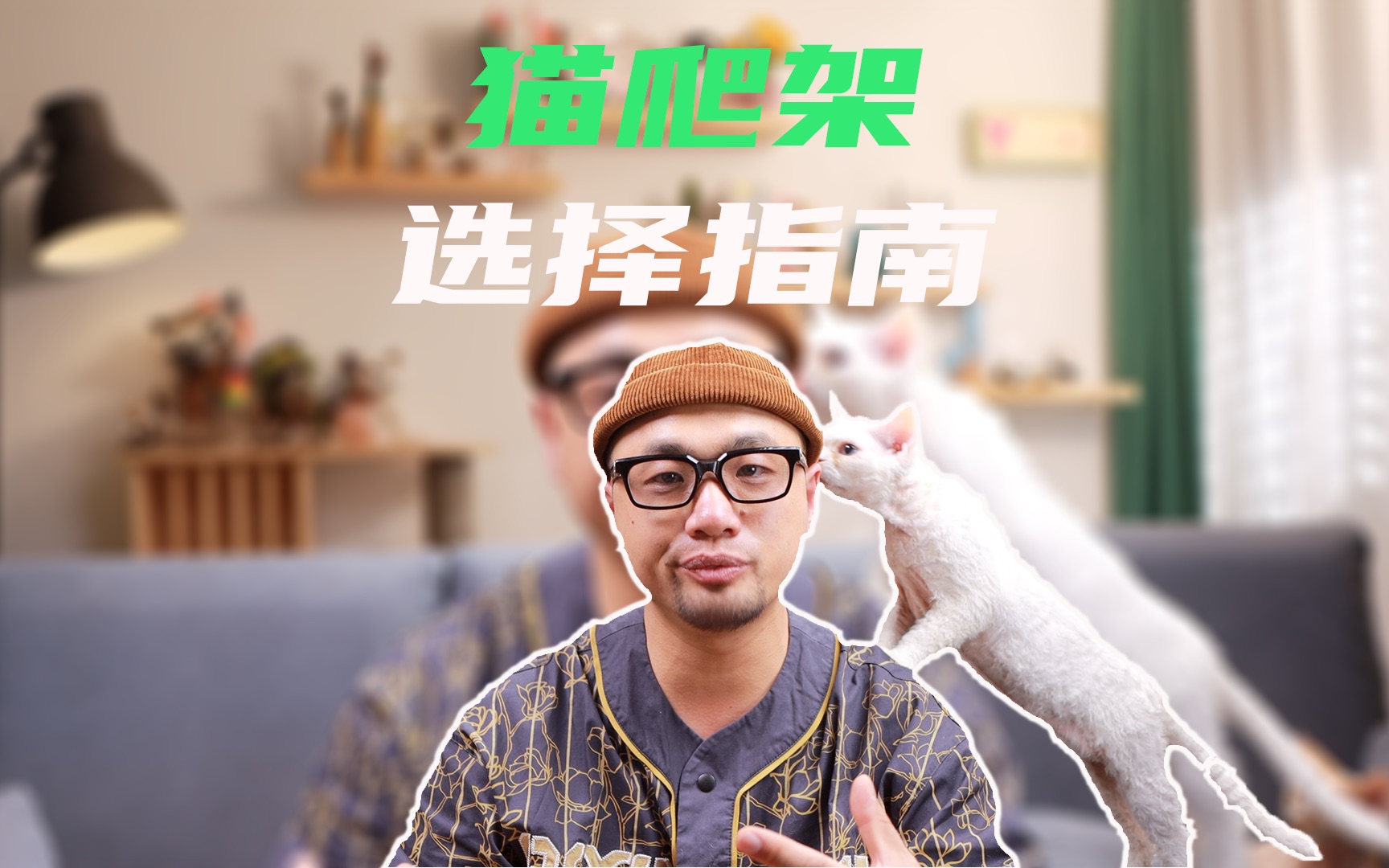 如何选择猫爬架,哪些爬架不能选,避坑指南来袭