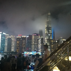 一定走自己的路 