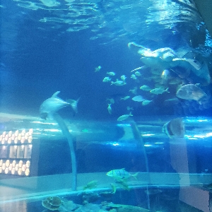 考点课堂 