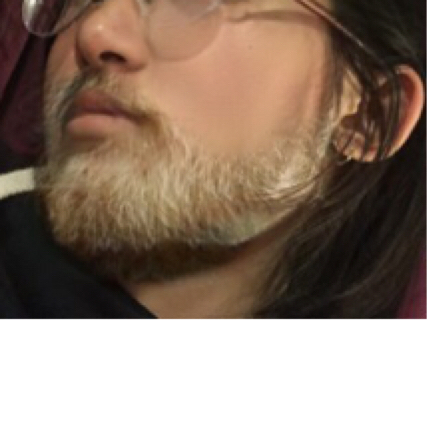 网络中的小可爱 
