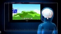 0至3岁早教早教动画片大全