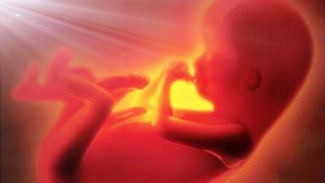 胎儿形成的神奇过程,让你感受生命的伟大