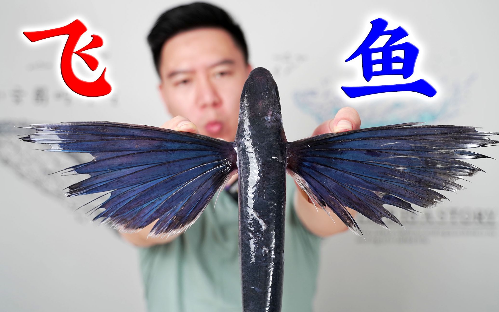 烤两条会飞的鱼,翱翔飞鱼,出锅后翻车了