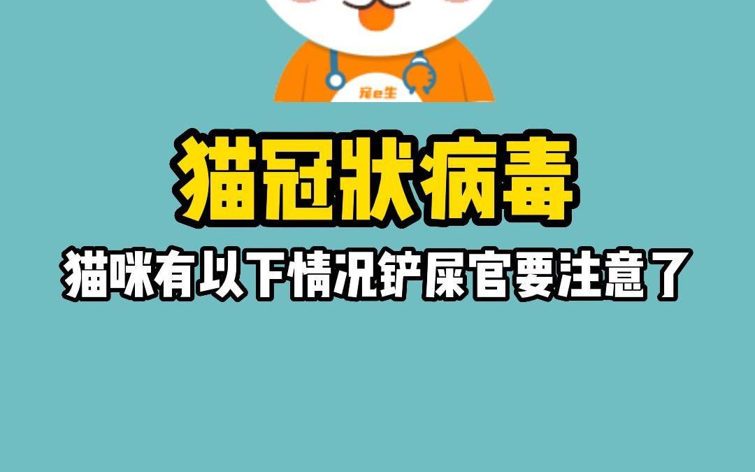 宠e生宠物疾病科普:别小看这个病毒对猫咪的危害