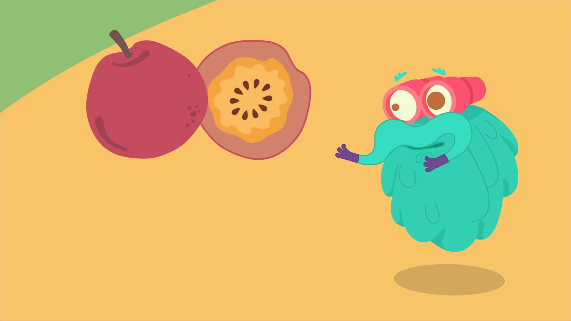 【科普】植物的组成(Peekaboo Kidz出品/创客麦克斯搬运)(配上简介...