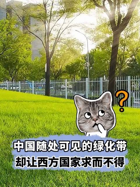 ...带您了解中国绿色经济 #有用内容创作计划 #快成长计划 #文娱百科...