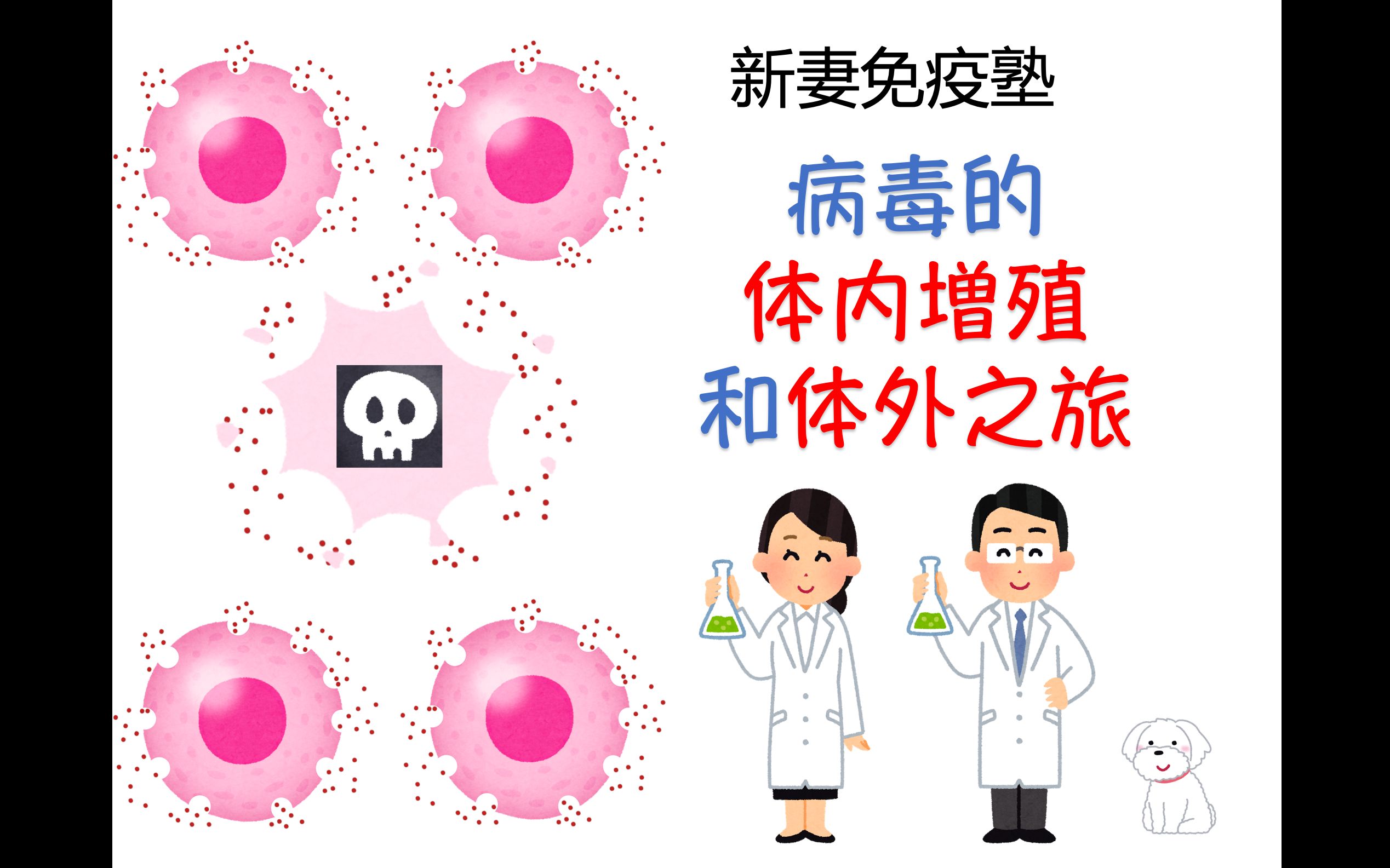 通俗易懂的新冠免疫/病毒学解说④病毒的体内増殖和体外之旅