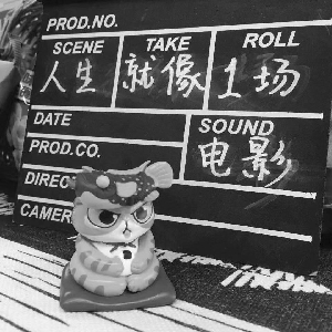 摄影老马 