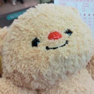 Fannie珂珂 