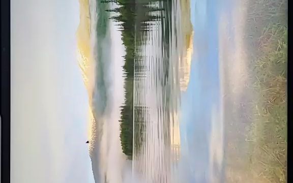 deepin开机进入桌面卡死,任务栏20s之后才显示出来
