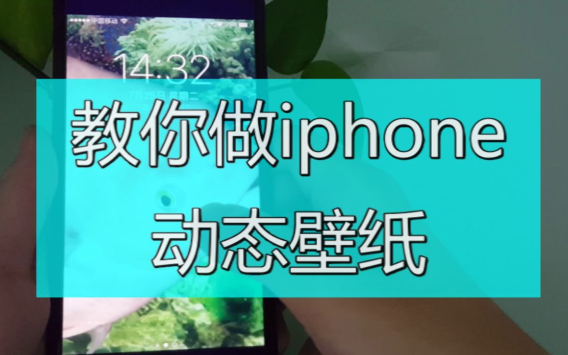 [奇兔资讯]教你如何设置iphone动态壁纸