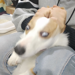 拜拜拜拜拜拜88 