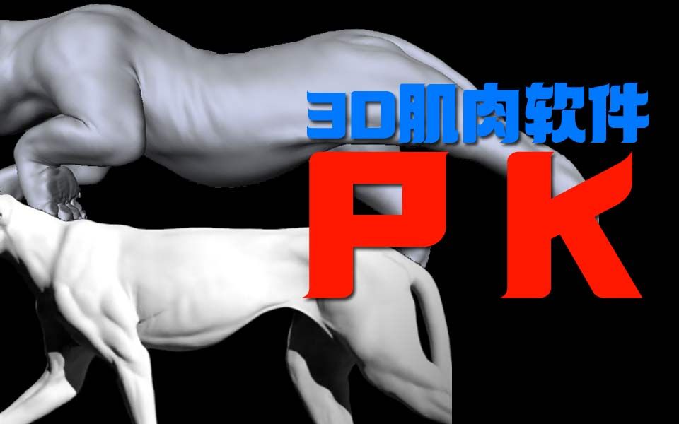 3d肌肉软件pk_Ziva_Houdini还是Mush3d
