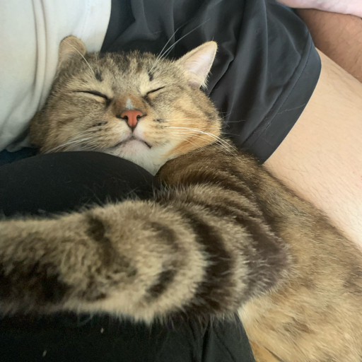 很优秀的小天才 