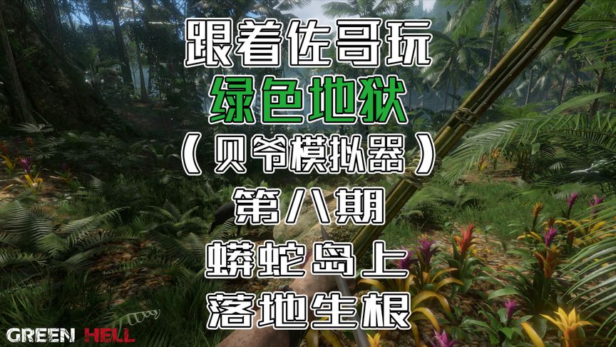 【小佐兔子】贝爷模拟器 第八期 蟒蛇岛上落地生根!绿色地狱