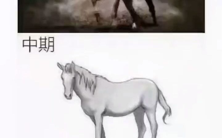 你眼中的毕业论文选题、开题报告、文献综述、初稿到答辩和导师眼中...