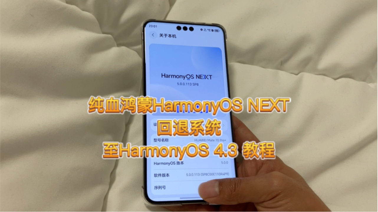 纯血鸿蒙HarmonyOS NEXT回退系统至HarmonyOS 4.3 教程