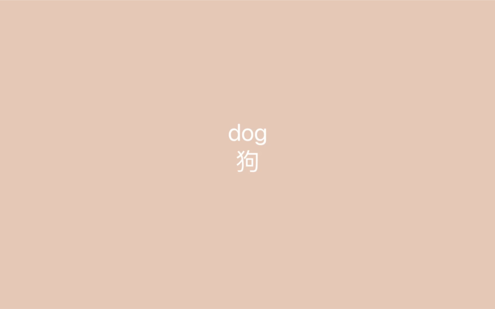 英语启蒙-dog 狗