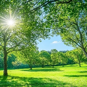 拥有一个小目标72 