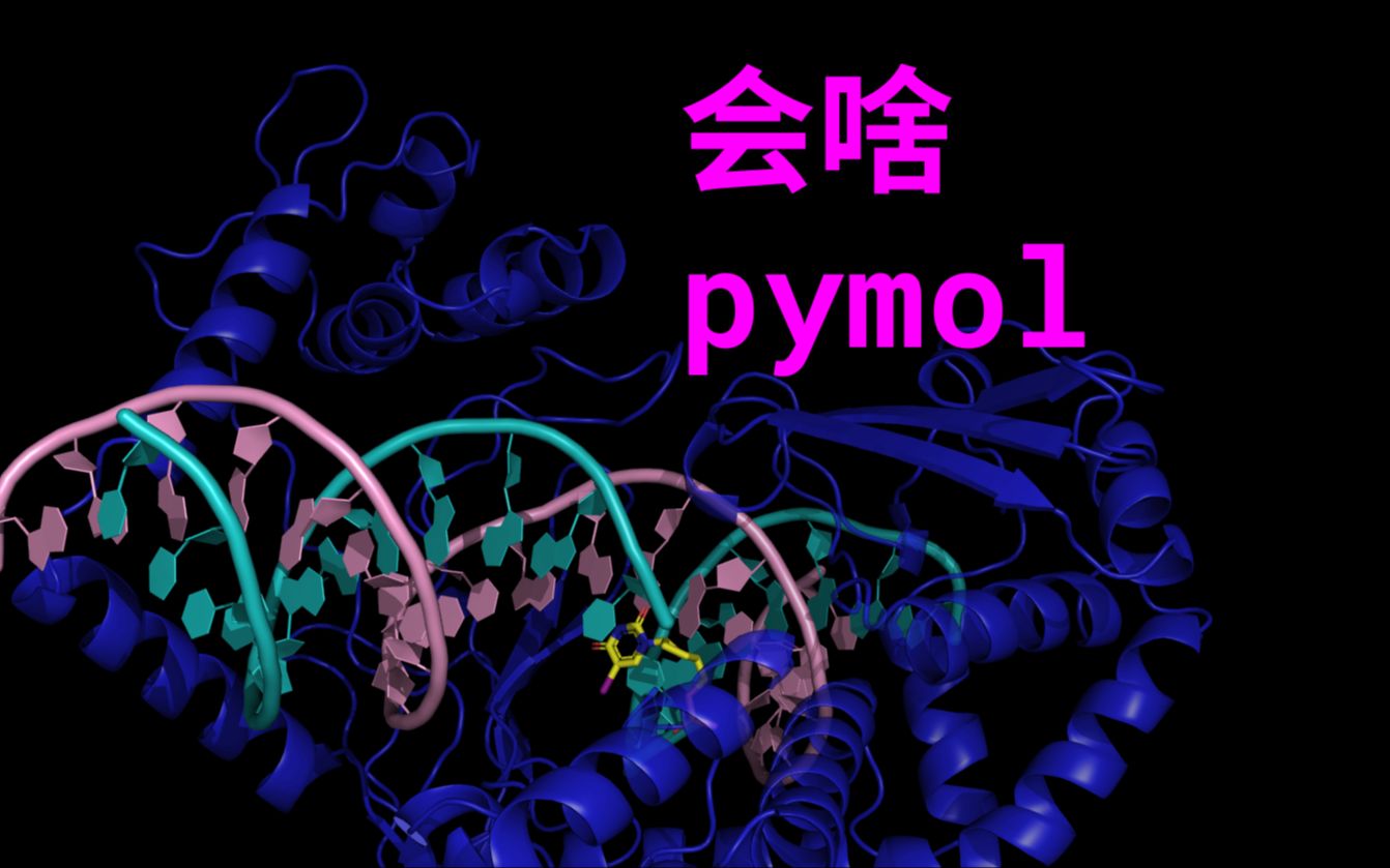 会啥_pymol_1_4linux从conda-forge安装开源版
