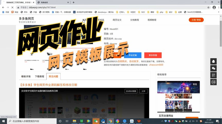 网页作业模板展示
