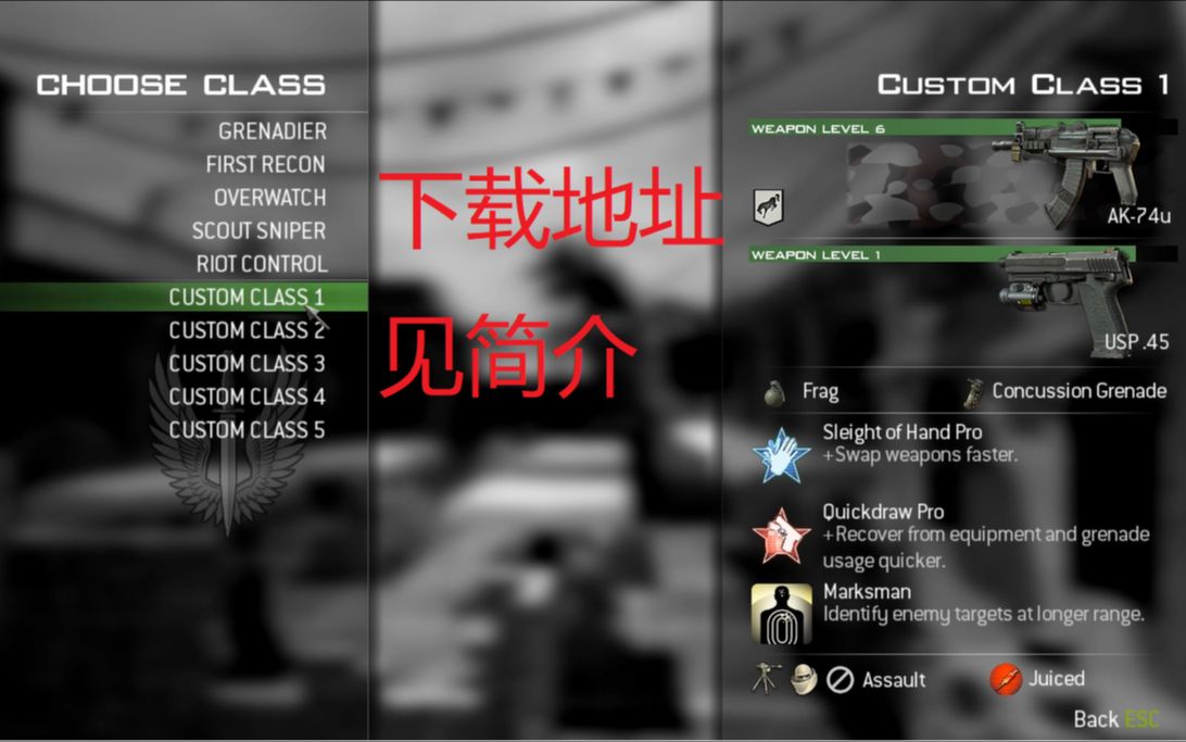 使命召唤打bot!下载地址见简介