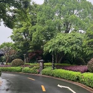 李哥探保 
