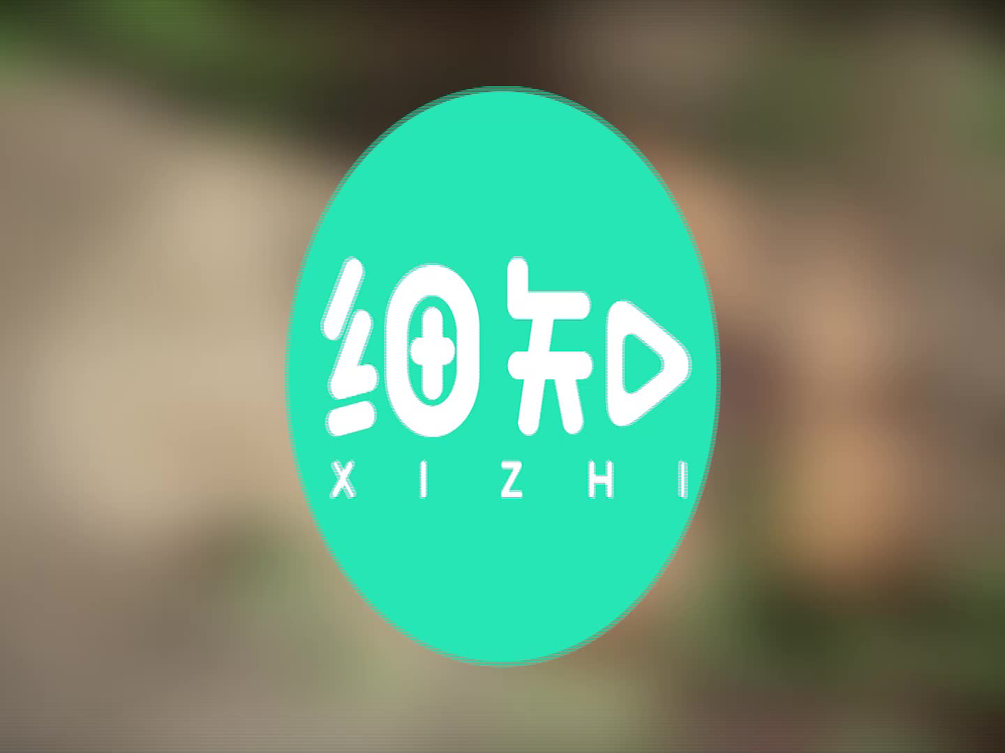 蛇为什么一年要蜕3、4次皮?网友:蜕皮过程中疼吗?听专家怎么说!