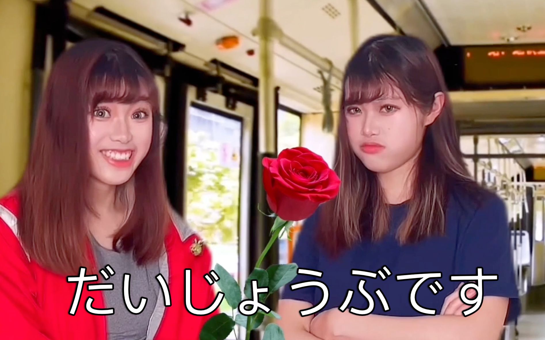 【大学生߇�߇�作业】所有的精分和中二都献给了日语