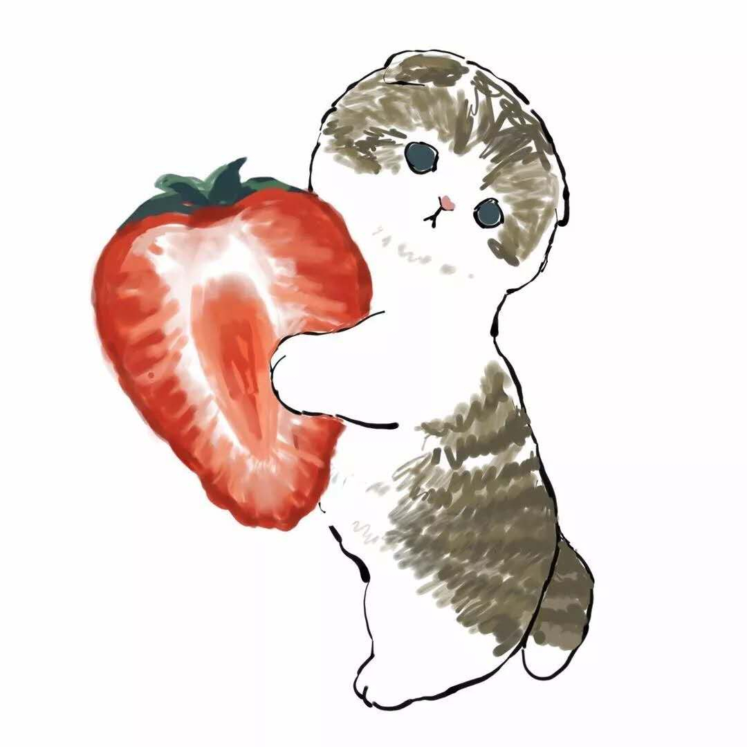 一枚初中数学教师丫 