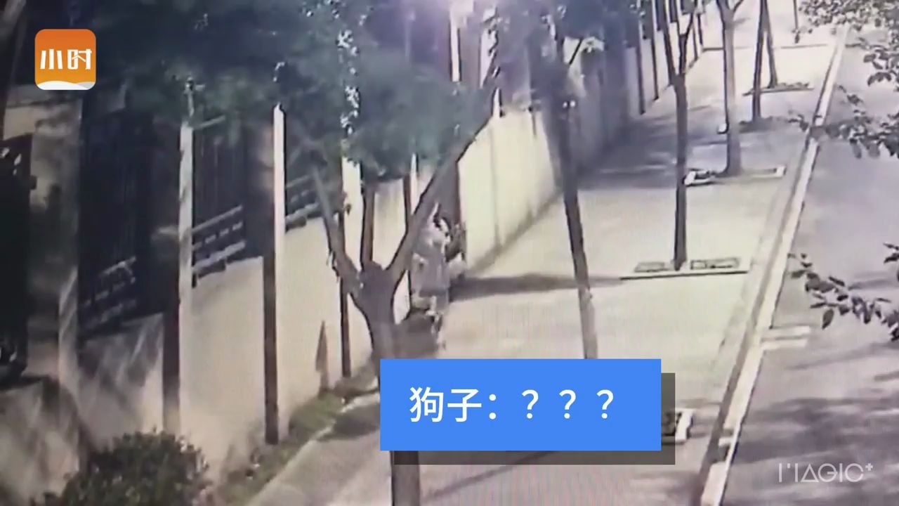 色胆包天!杭州一男子骑电动车向正散步的女孩伸出“咸猪手”