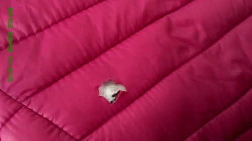 新买的羽绒服不小心被烧了一个洞,用这个方法弥补真是太好了