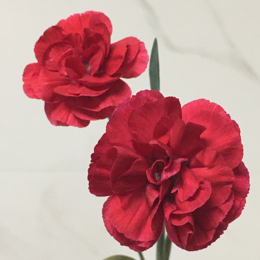 林老师的化学课堂 