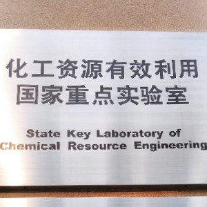 化工资源有效利用国重 