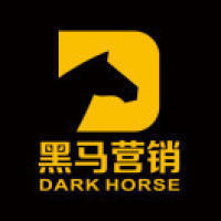黑马营销
