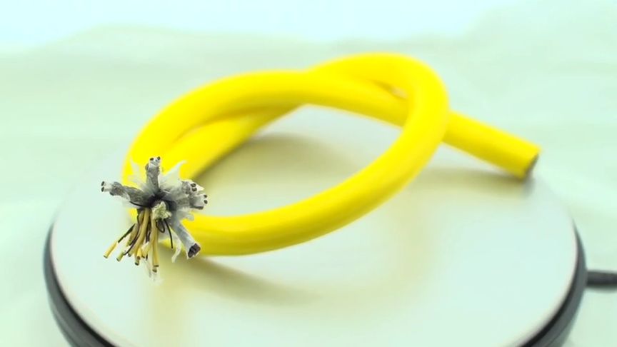 专业的抓梁随行深水电缆