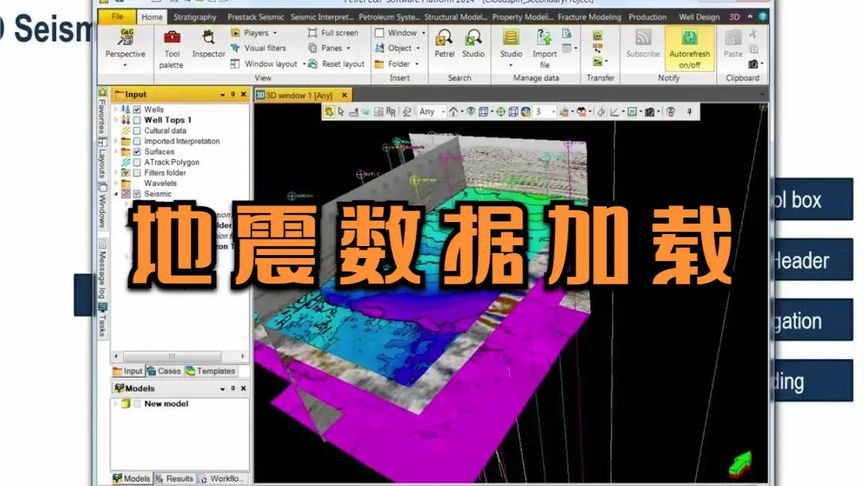 Petrel叠后地震数据体加载