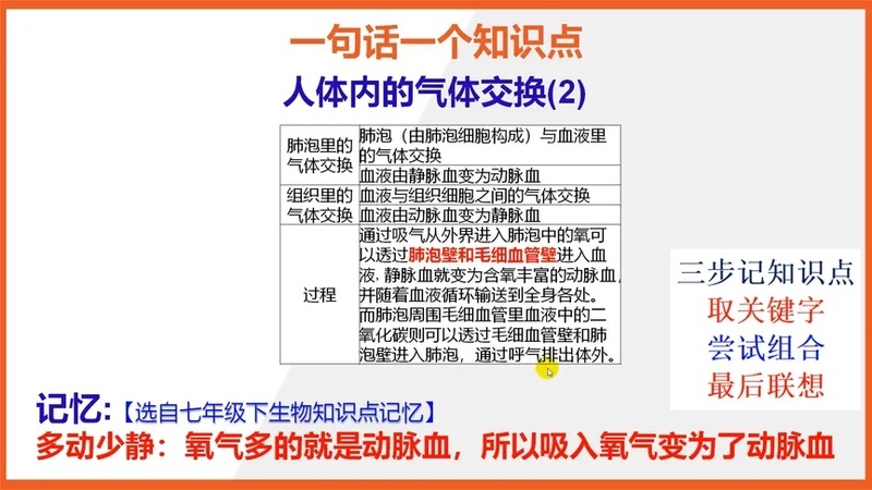 七年级下册生物知识点记忆 人体的气体交换(2)