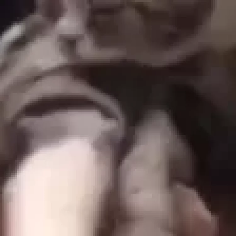 香港乐宝威杀菌王喷雾剂使用方法说明