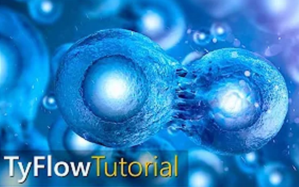 tyFlow _细胞繁殖